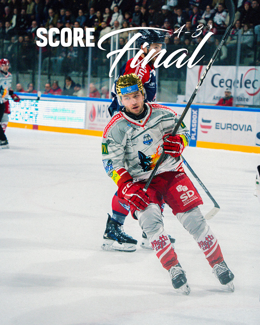 Un point et des regrets - Brûleurs de Loups